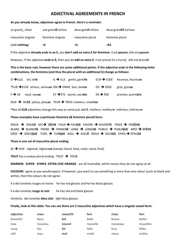 adjective agreements in French | Teaching Resources