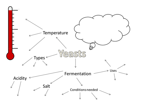 Theory of Yeast | Teaching Resources