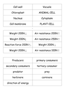 KS3 Science general revision activity | Teaching Resources