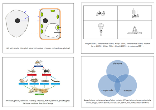 KS3 Science general revision activity | Teaching Resources
