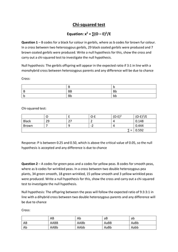 Chi squared test examples | Teaching Resources