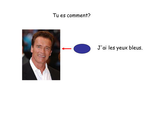 KS2 French: Eye Colour | Teaching Resources