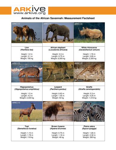 Handling Data: African Animal Maths | Teaching Resources