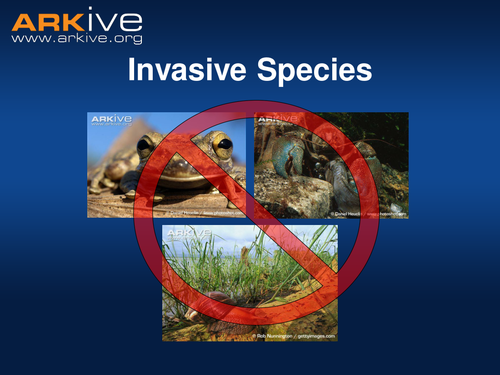 Invasive Species | Teaching Resources