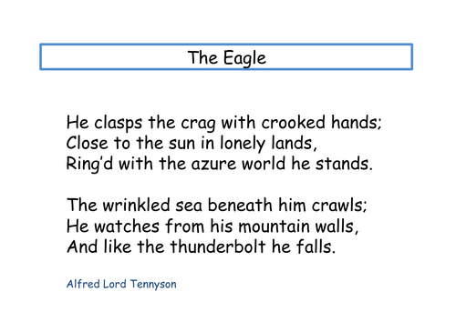 The Eagle by Tennyson | Teaching Resources