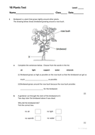 Plants topic - target sheet and test KS3 | Teaching Resources