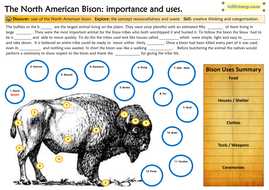 Bison / Buffalo Uses | Teaching Resources
