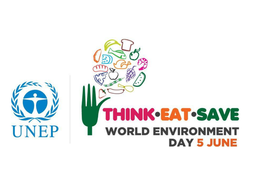 world environment day (WED) | Teaching Resources