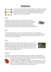 Minibeast report, VCOP, comprehension & cloze by Jenny Godfrey - UK ...