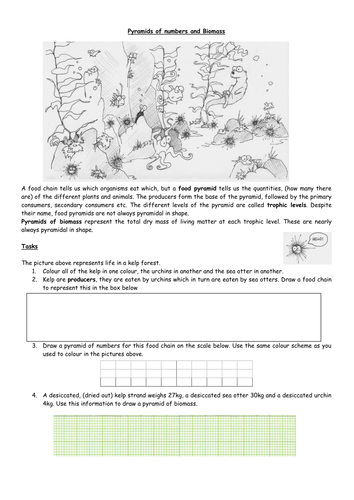 B1 5.1 Pyramids of Biomass | Teaching Resources