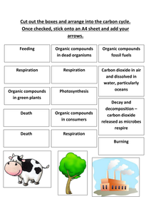 B1 5.4 Carbon Cycle - Resources - TES