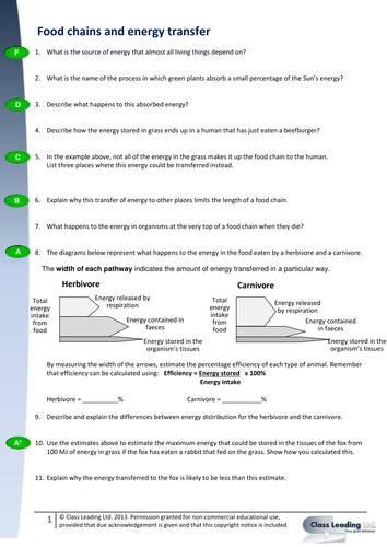 Food chains and energy transfer - questions | Teaching Resources