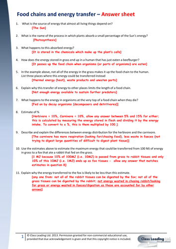 Food chains and energy transfer - questions | Teaching Resources