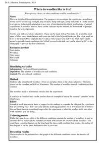 D-Woodlice - Guidance.docx