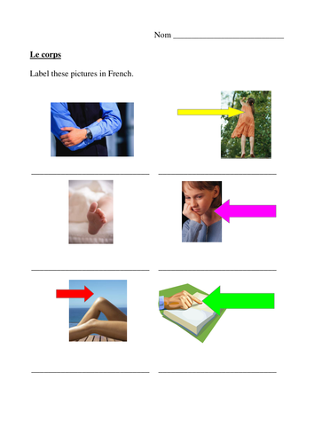 KS1/2/3 French: Parts of the body | Teaching Resources