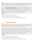 AQA GCSE Business Studies Customer Services/ICT | Teaching Resources