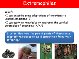 B1 AQA Extremophiles resources | Teaching Resources