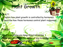Plant Hormones | Teaching Resources