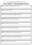 Heart scavenger hunt | Teaching Resources