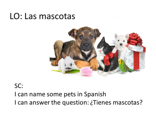 Las mascotas - Pets in Spanish as calligrams | Teaching Resources