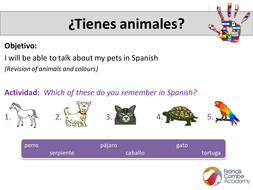 Mira 1 Unidad 3 Familia: Family KS3 Spanish | Teaching Resources