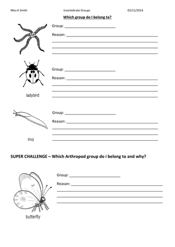 Invertebrates | Teaching Resources