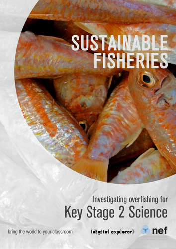 Sustainable Fisheries: Ages 8-11/ KS2 | Teaching Resources