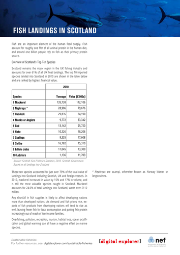 Geography: Sustainable Fisheries | Teaching Resources