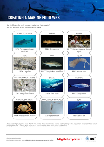 Science: Sustainable Fisheries | Teaching Resources