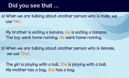 Fun Pronouns | Teaching Resources
