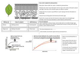 AQA BIology Topic summary sheet | Teaching Resources