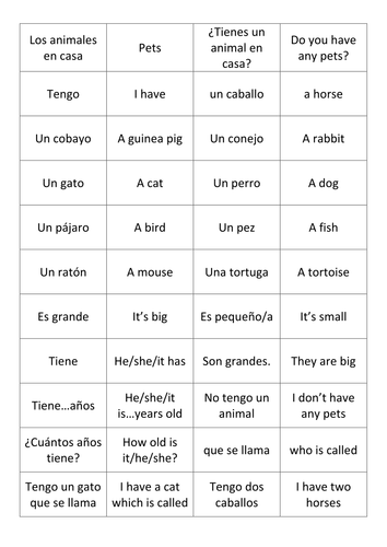 Listos 1, Module 1 - Vocabulary Cards | Teaching Resources