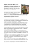 Acid Rain | Teaching Resources