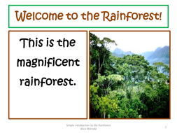 Introduction to the Rainforest | Teaching Resources