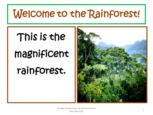 Introduction to the Rainforest | Teaching Resources