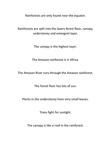 Rainforest Activities | Teaching Resources
