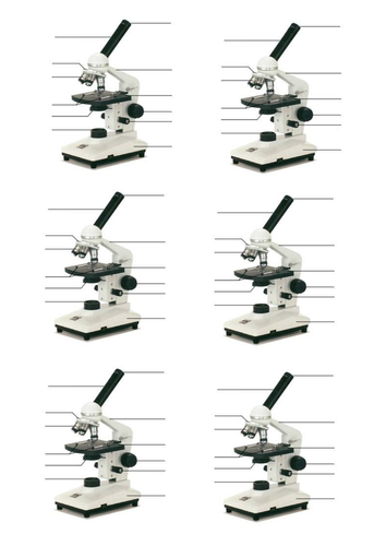 Microscopes intro | Teaching Resources