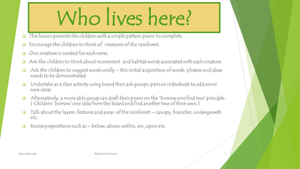 Rainforest Poetry - Resources - TES