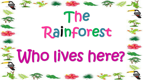 Rainforest Poetry by Alice K - Teaching Resources - TES