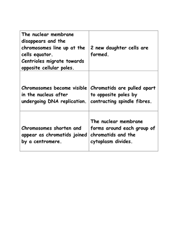 Mitosis Worksheets/Card Sorts | Teaching Resources