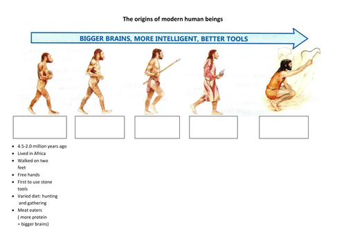 Human evolution | Teaching Resources Human evolution | Teaching Resources