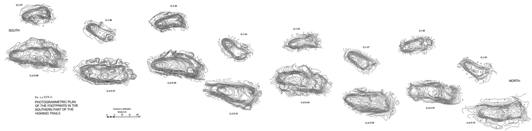 Human evolution | Teaching Resources
