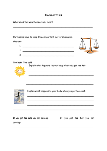 Homeostasis - temperature control and excretion | Teaching Resources