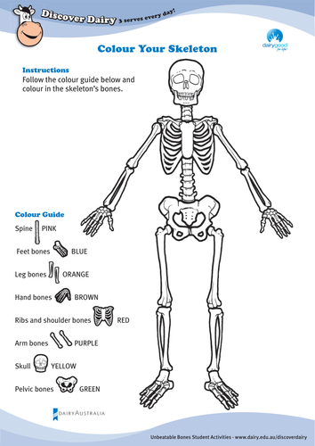 Unbeatable Bones - Colour Your Skeleton | Teaching Resources