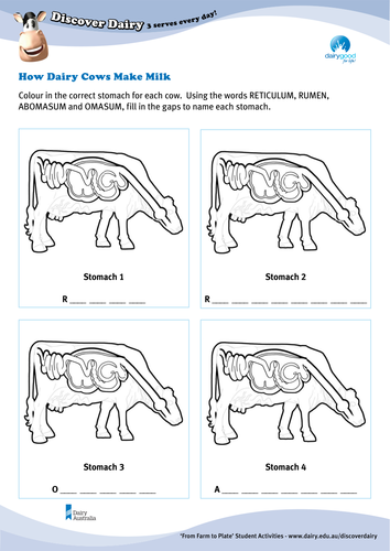 'From Farm to Plate' - How Dairy Cows Make Milk | Teaching Resources