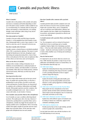 Cannabis and psychotic illness | Teaching Resources