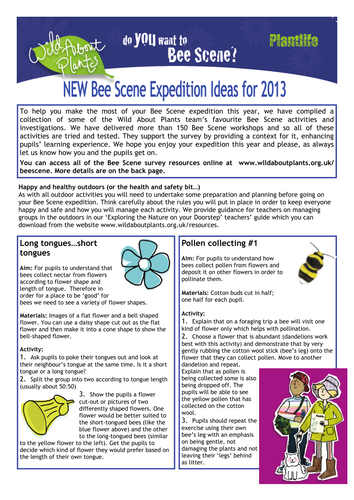 Bee Scene Expedition Pack 2013 | Teaching Resources