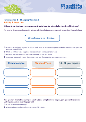 Investigation - Hug a Tree | Teaching Resources