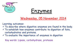 Enzymes lesson | Teaching Resources