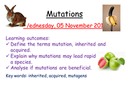 Mutations lesson | Teaching Resources